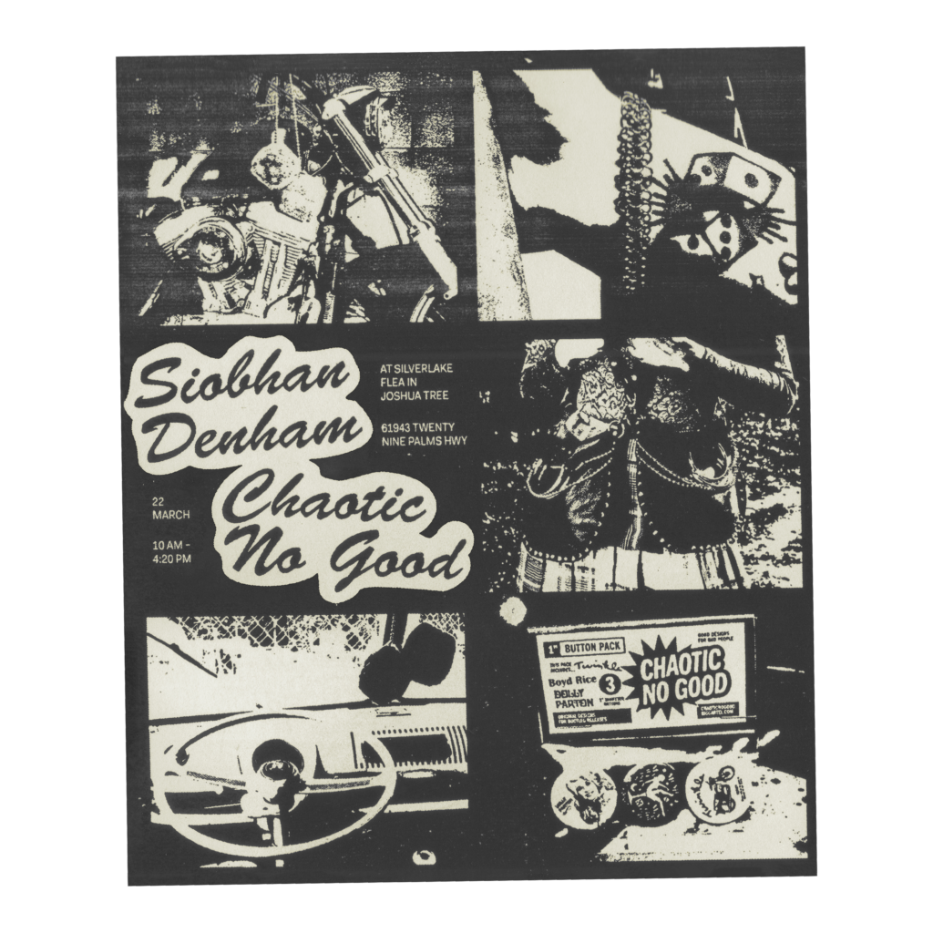 Chaotic No Good — Siobhan Denham